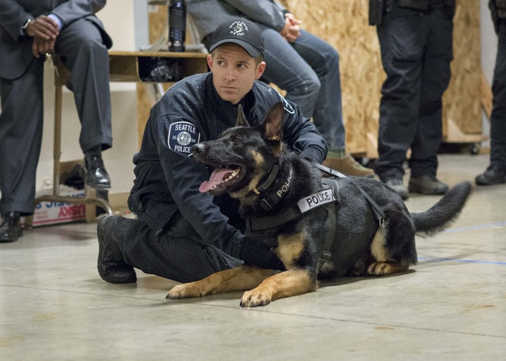 Newest K-9 Team Successfully Track Two Suspects in One Night - SPD Blotter